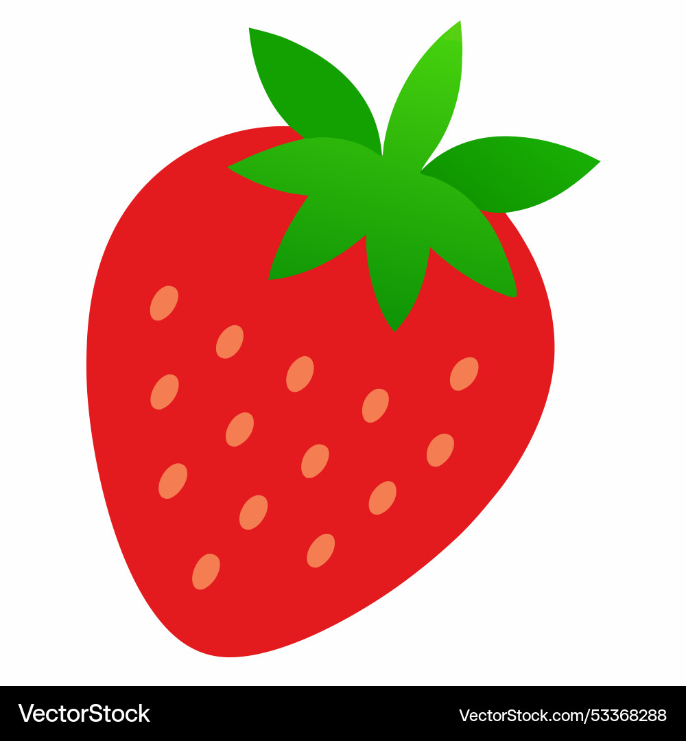 Strawberry fruits Royalty Free Vector Image - VectorStock