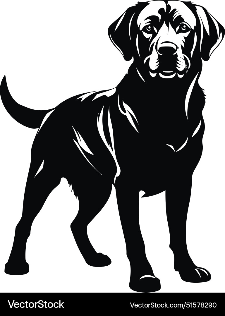 Labrador retriever silhouette line art template Vector Image