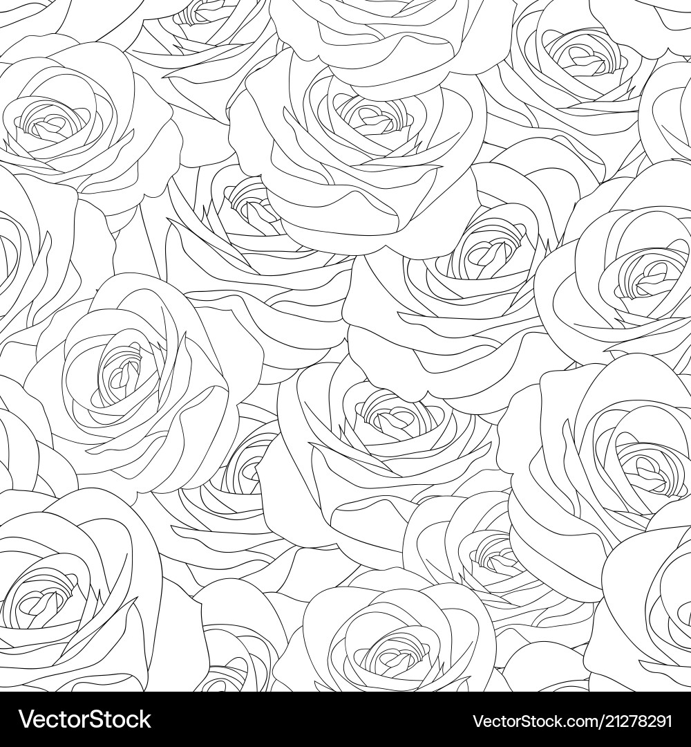 Elegant Rose Outline Background Royalty Free Vector Image