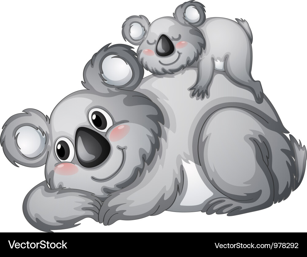 Koala Royalty Free Vector Image - VectorStock