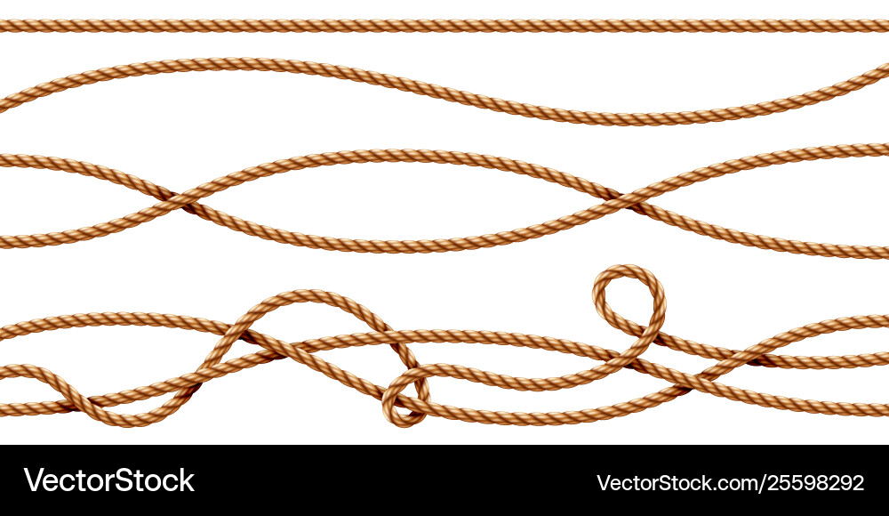 Curvy Rope Vector Images (42)