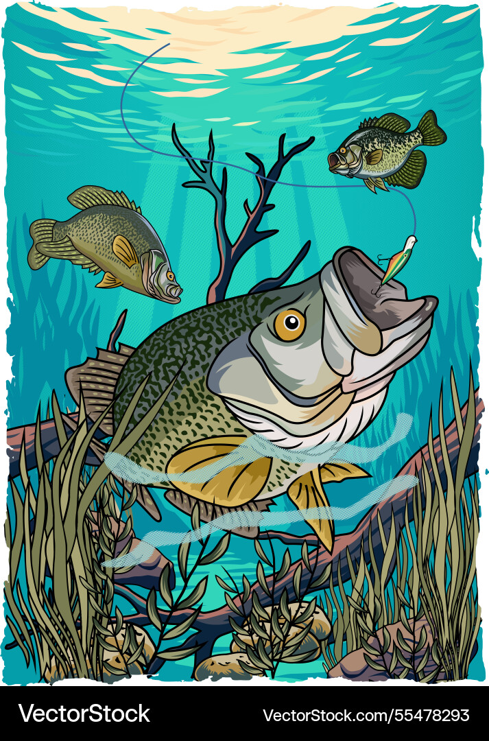 Crappie fishing logo image t s Royalty Free Vector Image