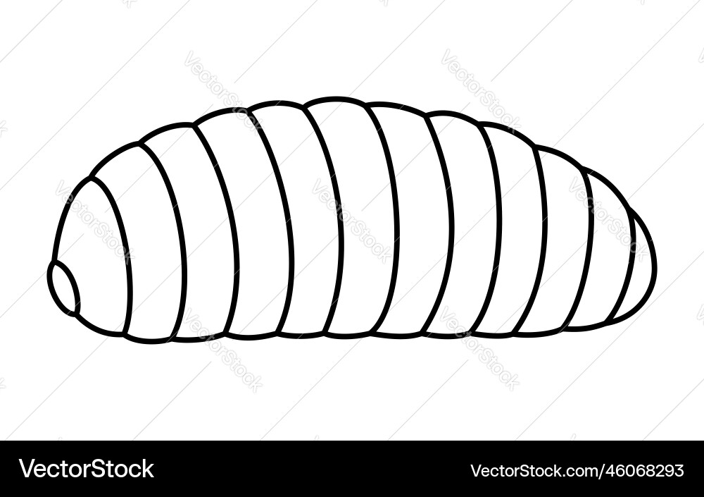 Larvae insects that can be eaten Royalty Free Vector Image