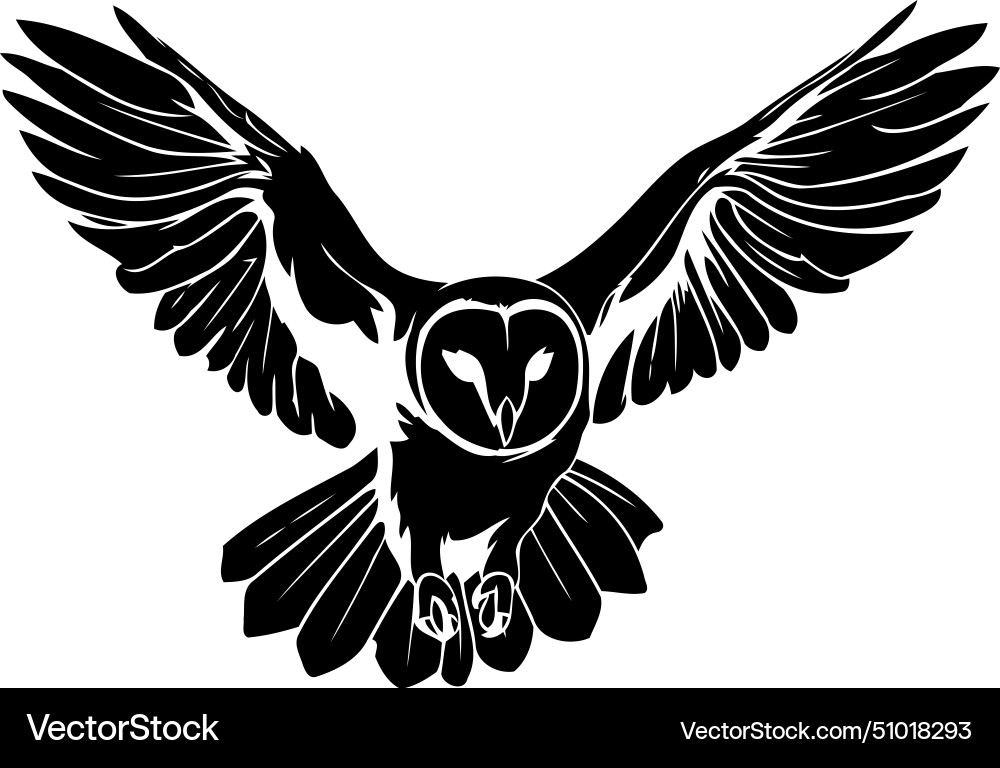 Owl with wings spread on a dark background Vector Image