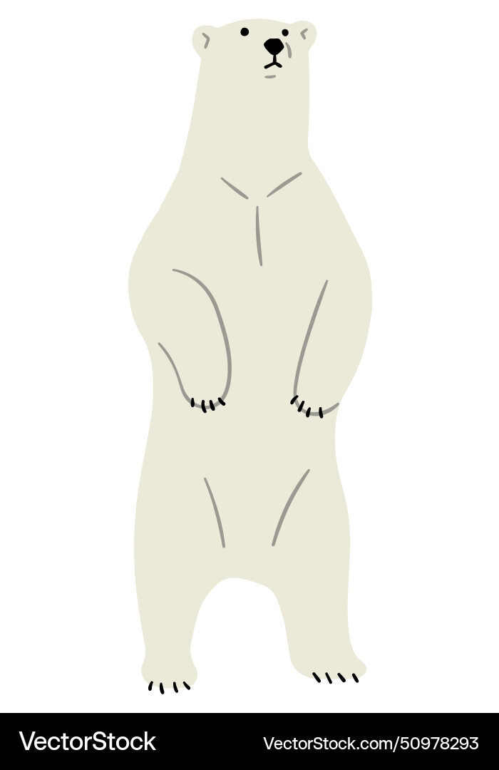 Polar bear single 8 Royalty Free Vector Image - VectorStock