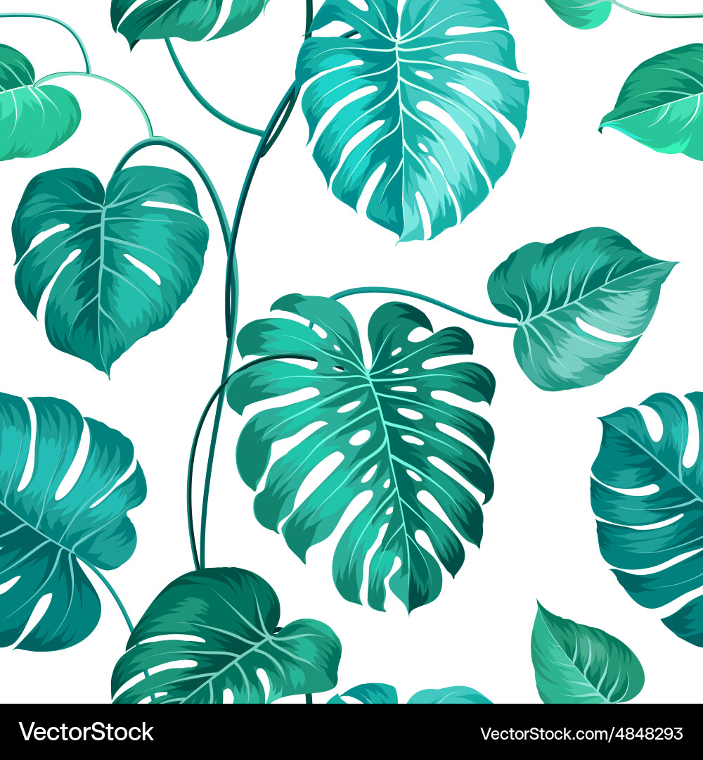 Topical palm leaves Royalty Free Vector Image - VectorStock