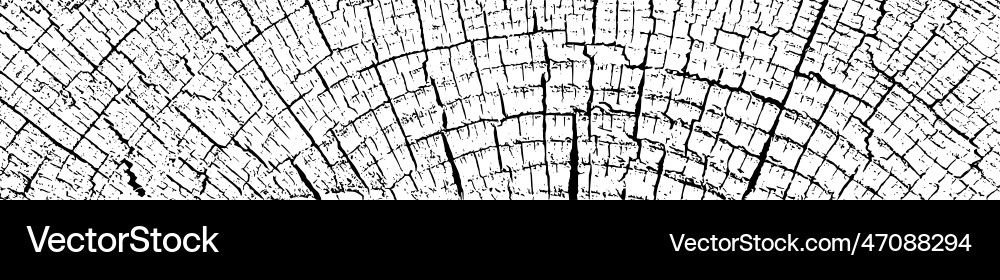 Distressed wood texture Royalty Free Vector Image