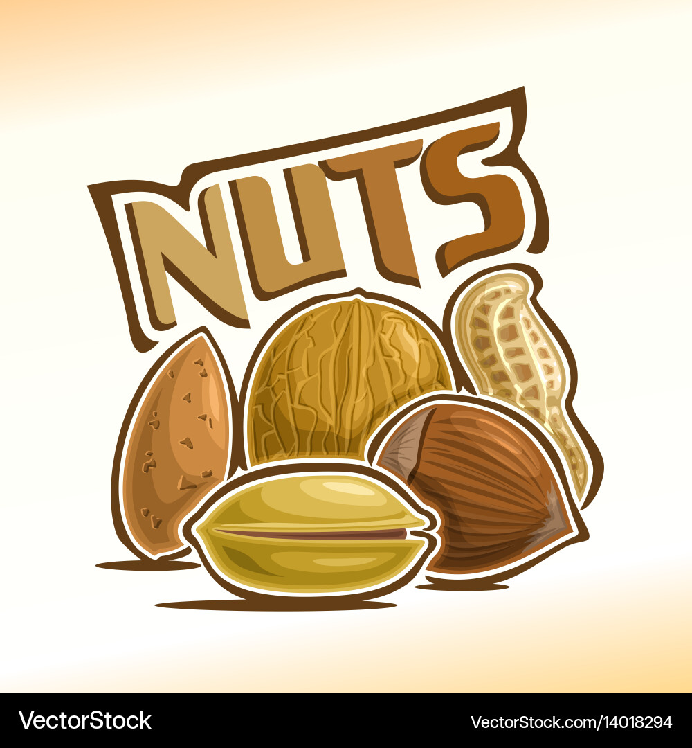 Nutlet Almond Nuts Vector Images (64)