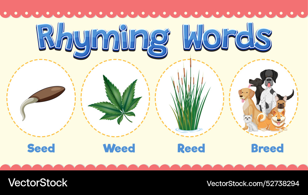 Seed weed reed and breed rhyming words Royalty Free Vector