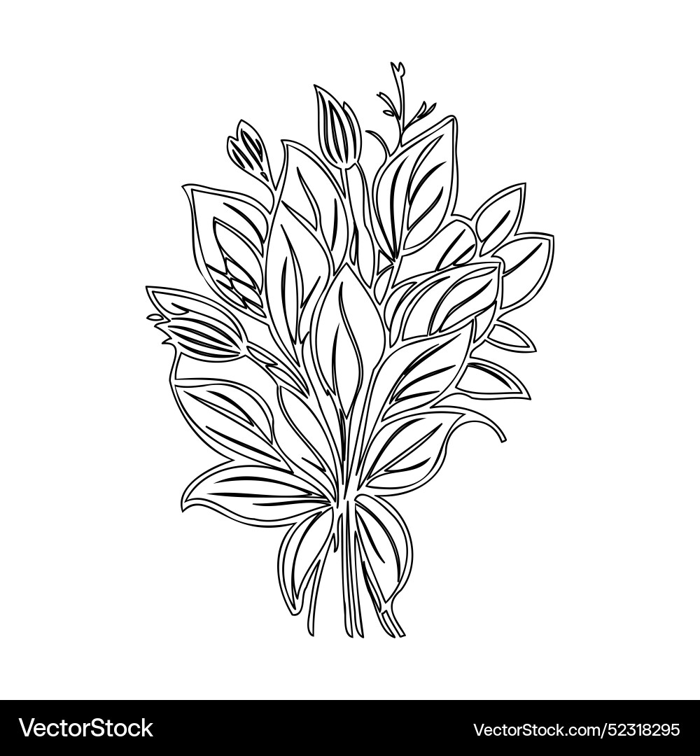 Bouquet flower outline sketch Royalty Free Vector Image