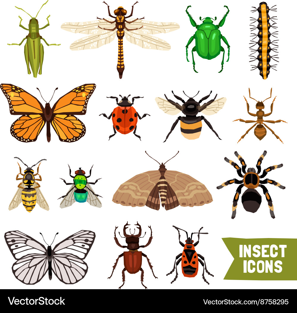 Insects icons set Royalty Free Vector Image - VectorStock