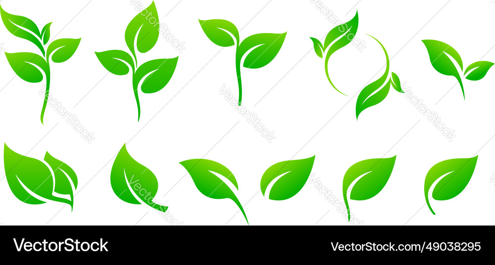 Lush green leaf and seedling set Royalty Free Vector Image