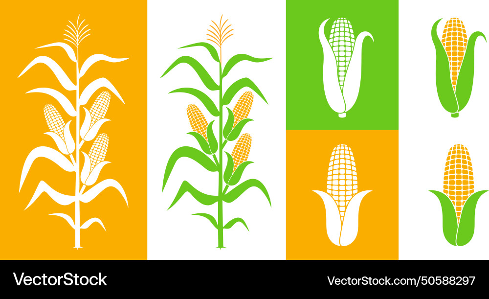 Corn Royalty Free Vector Image - VectorStock