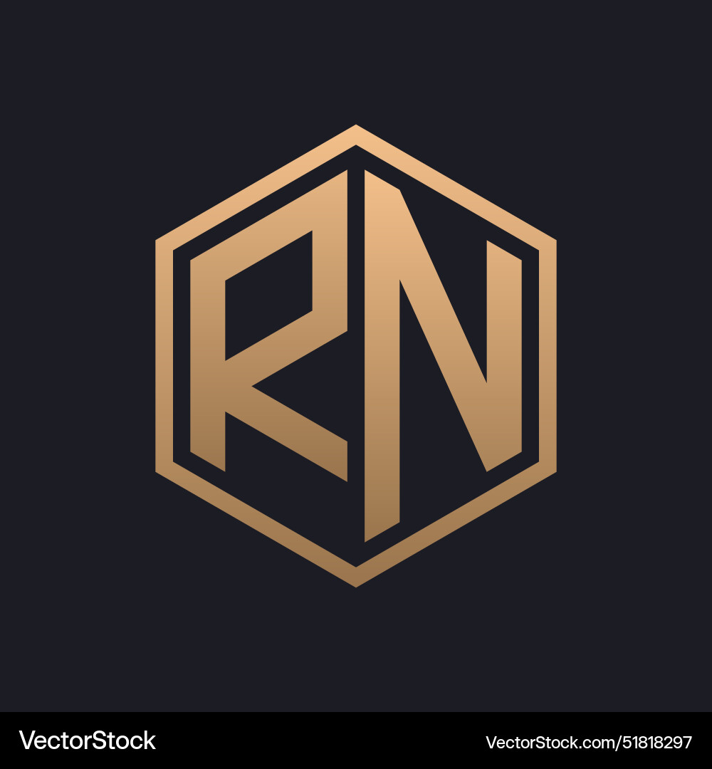 Elegant hexagon letter rn logo design initial Vector Image