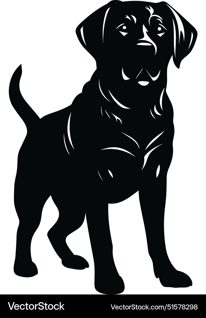 Labrador retriever silhouette line art template Vector Image