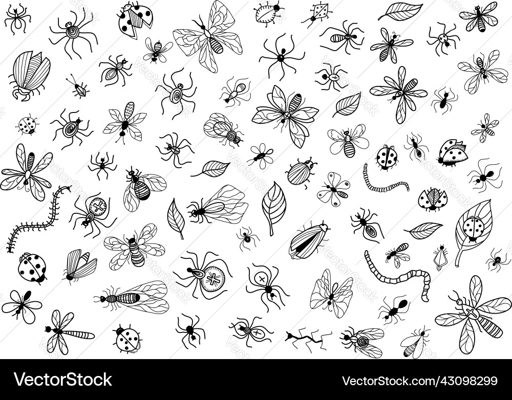 Insects set hand drawn outline Royalty Free Vector Image