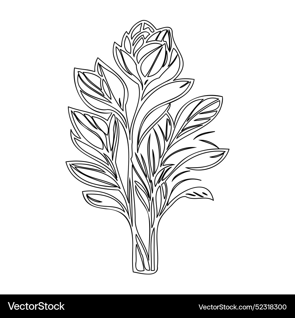 Bouquet flower outline sketch Royalty Free Vector Image
