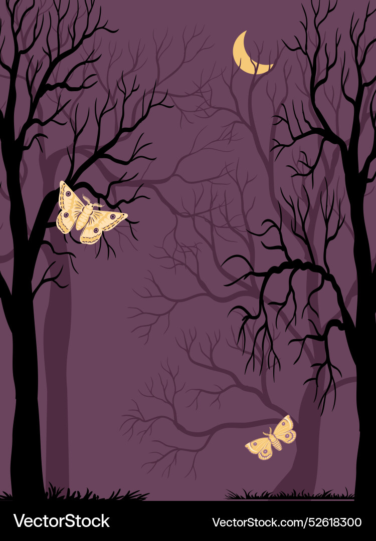 Drawing night forest landscape Royalty Free Vector Image