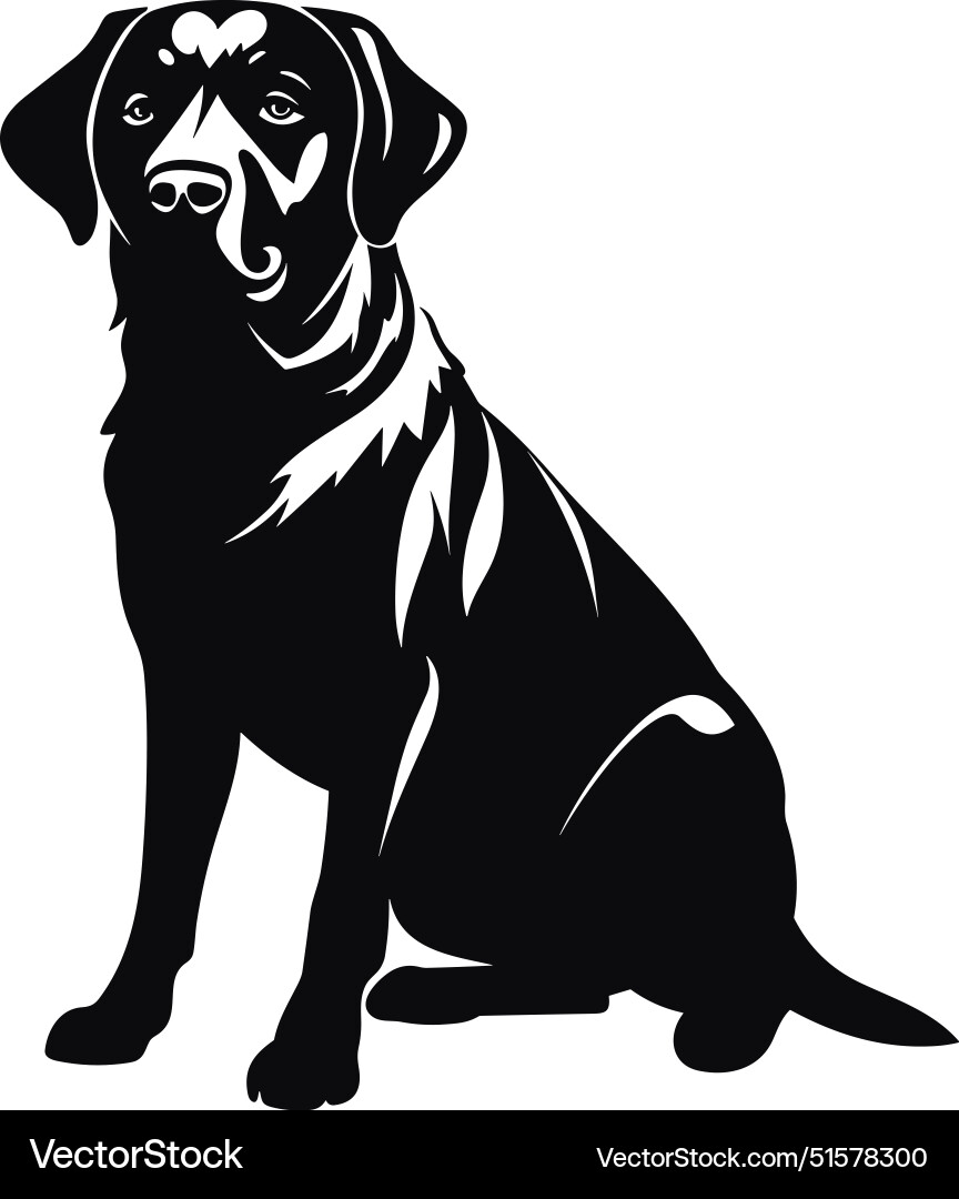 Labrador retriever silhouette line art template Vector Image