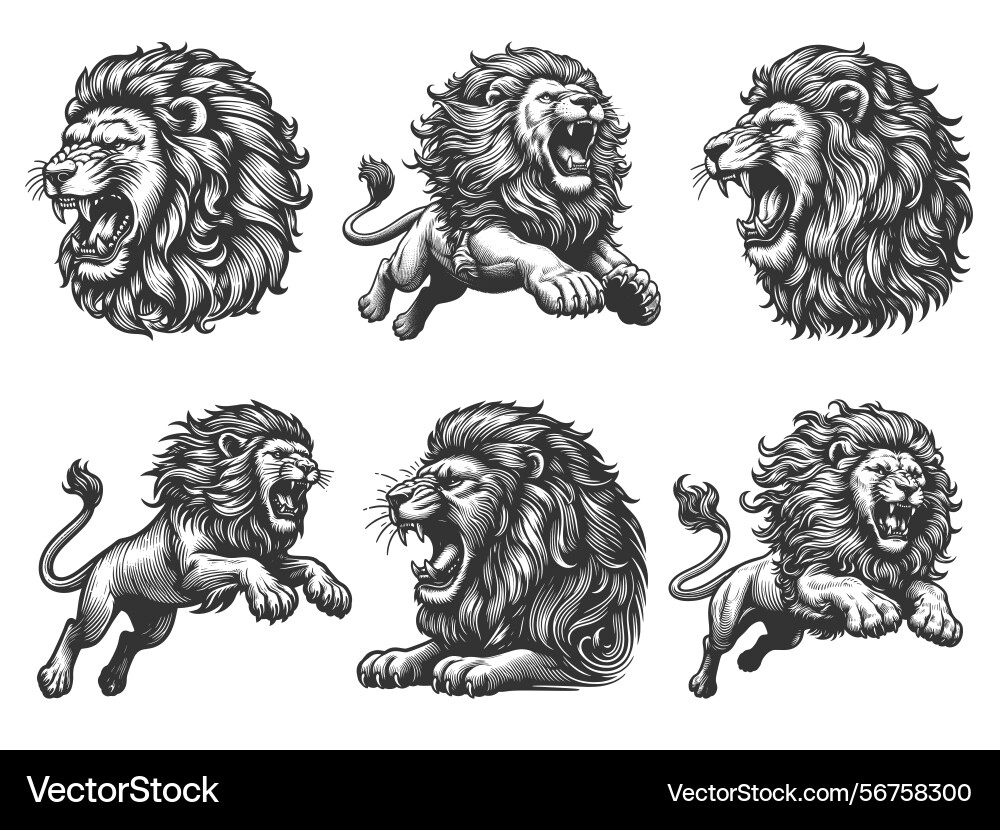 Roaring lion engraving set collection Royalty Free Vector
