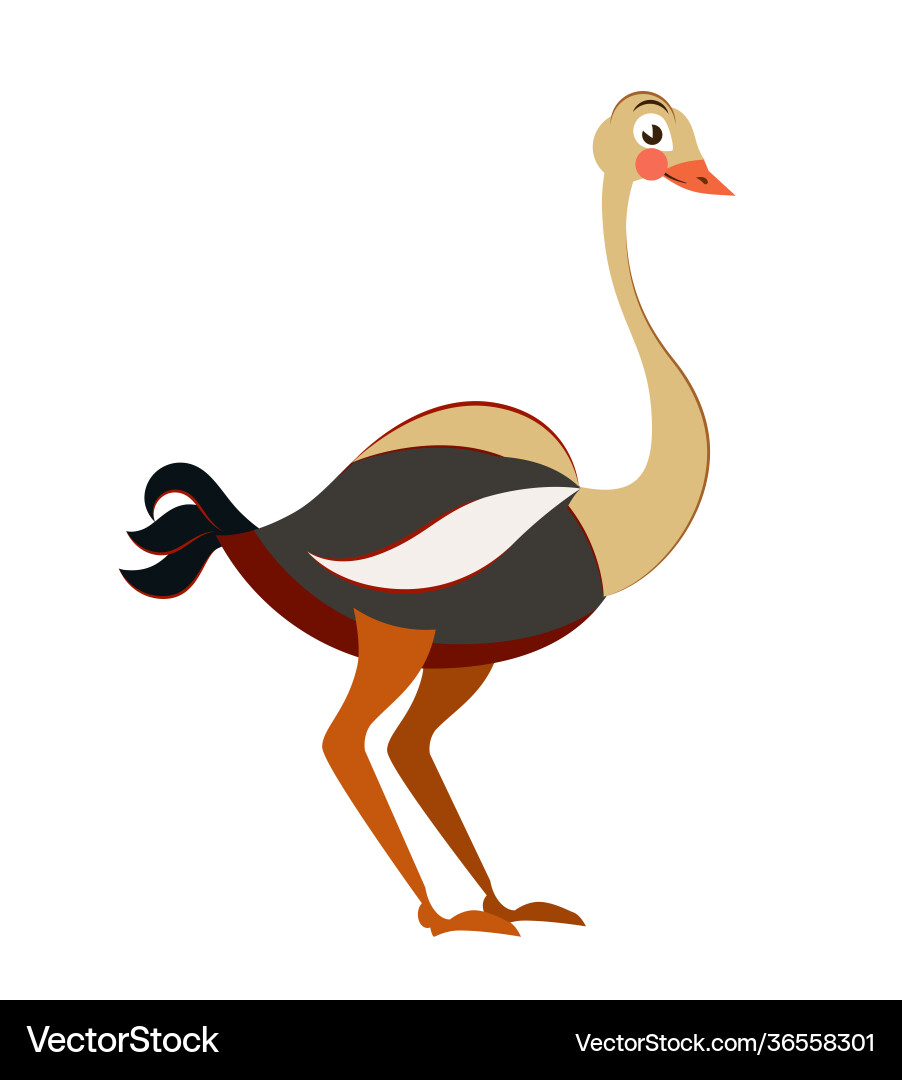 Cute ostrich in flat isolated on white background Vector Image