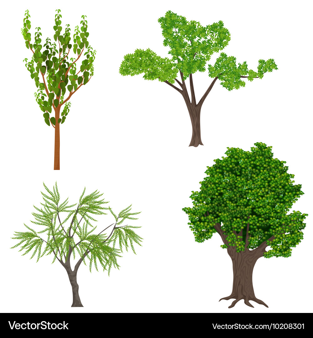 Highly detailed realistic cartoon trees set wood Vector Image
