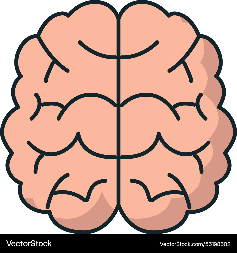 Human brain showing intelligence creativity Vector Image