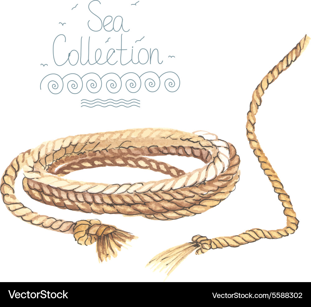 Watercolor nautical rope Royalty Free Vector Image
