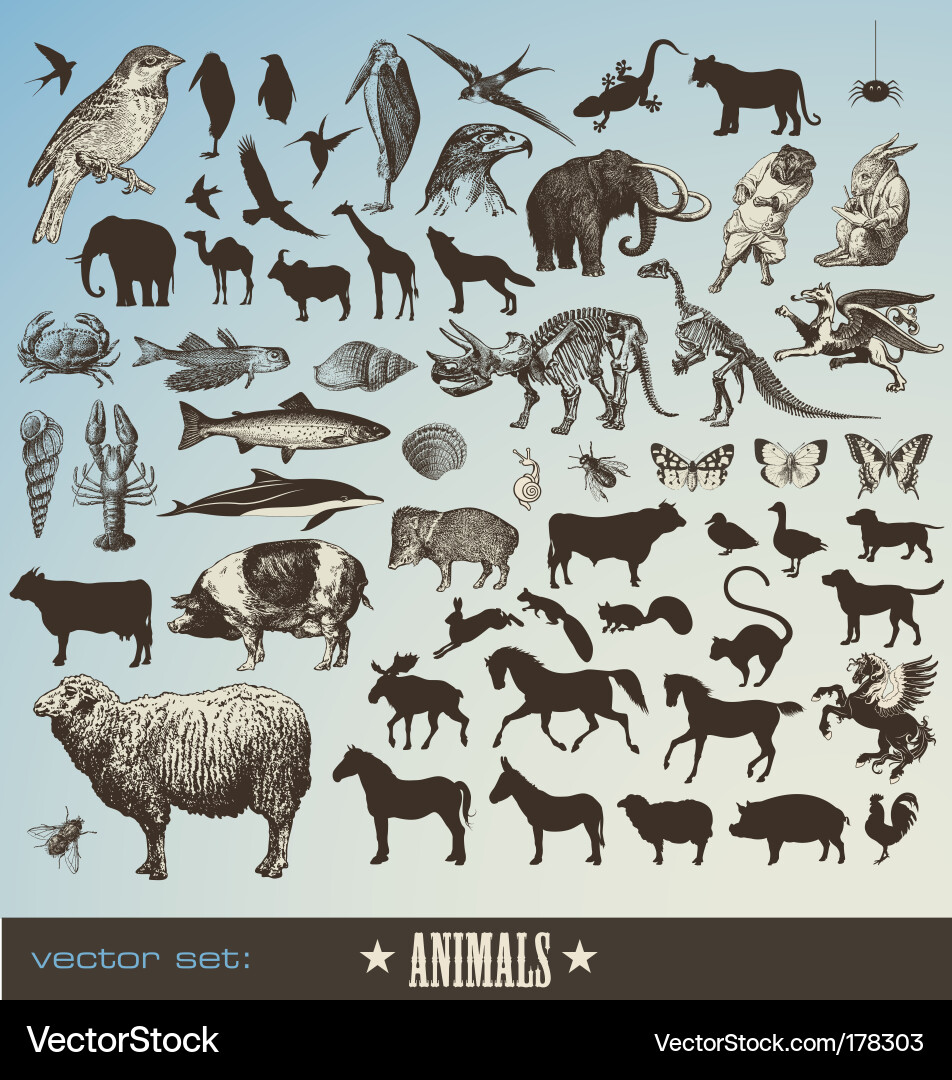 Animated Sea Animals Vector Images (over 240,000)