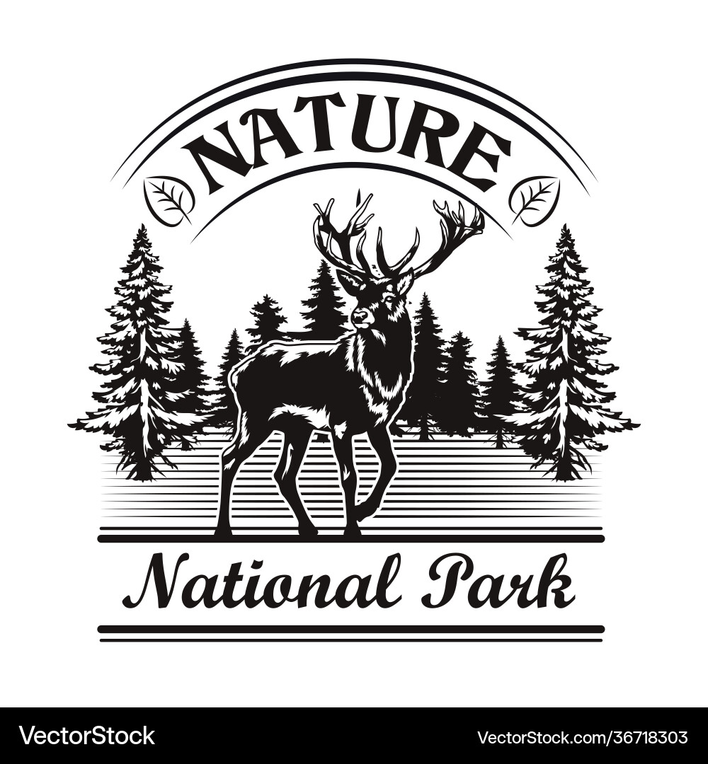 Nature and park symbol design Royalty Free Vector Image