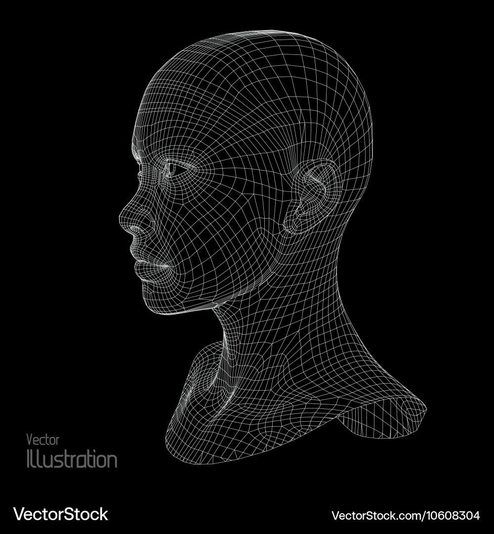 3D Human Head Wireframe Model Royalty Free Vector Image