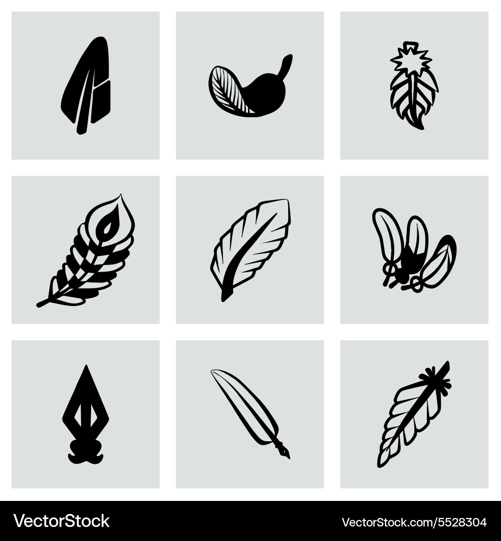 Feather icon set Royalty Free Vector Image - VectorStock