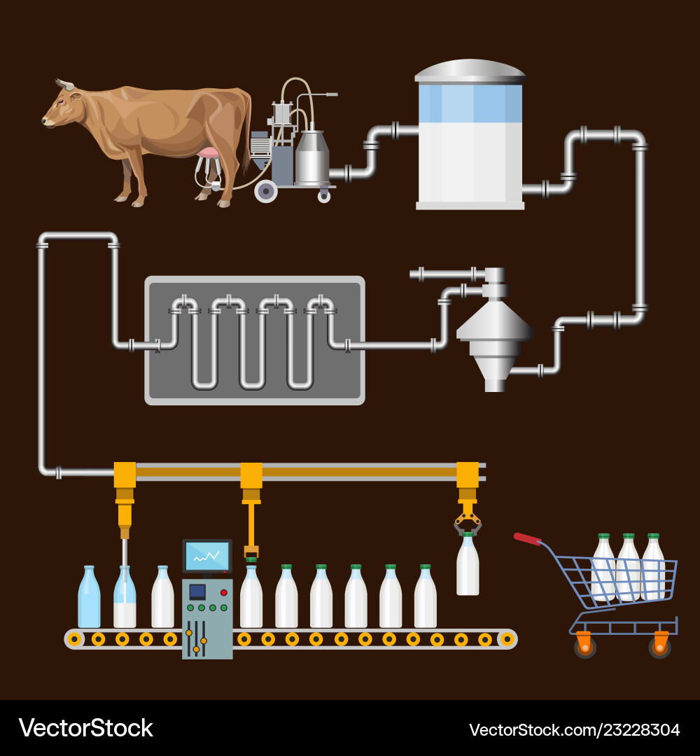 Milk production process Royalty Free Vector Image