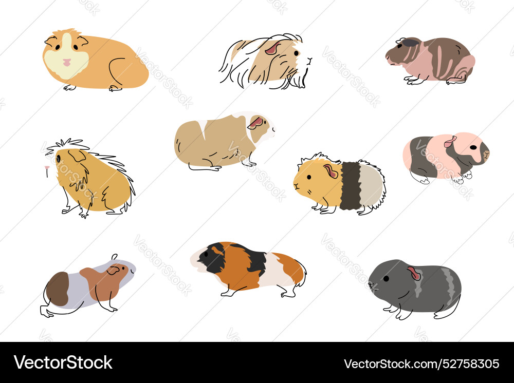 Cute guinea pig pet icons Royalty Free Vector Image
