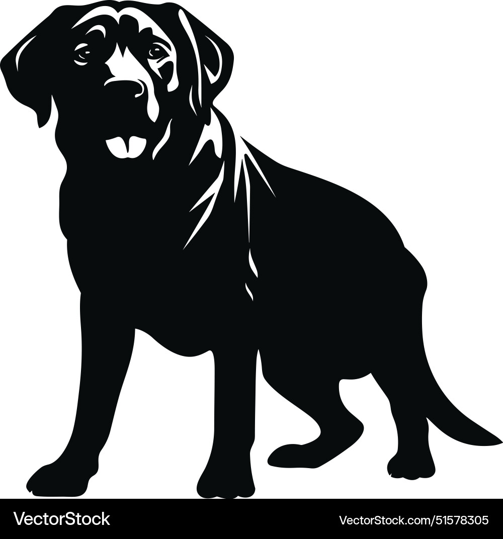 Labrador retriever silhouette line art template Vector Image