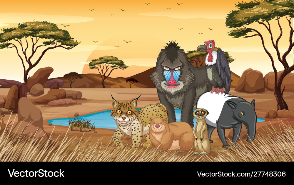 Wild animals in desert field Royalty Free Vector Image