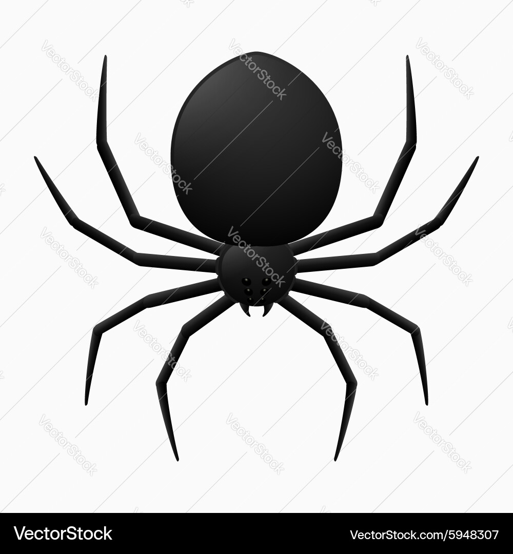 Black spider Royalty Free Vector Image - VectorStock