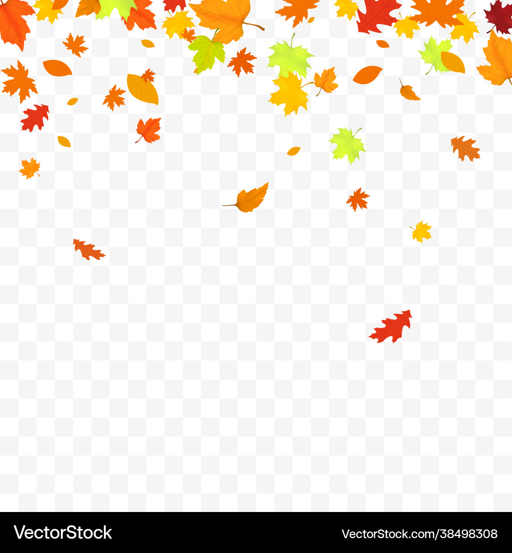 Autumn falling leaves isolated Royalty Free Vector Image