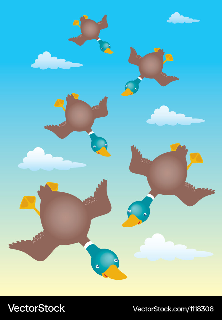 Duck Royalty Free Vector Image - VectorStock