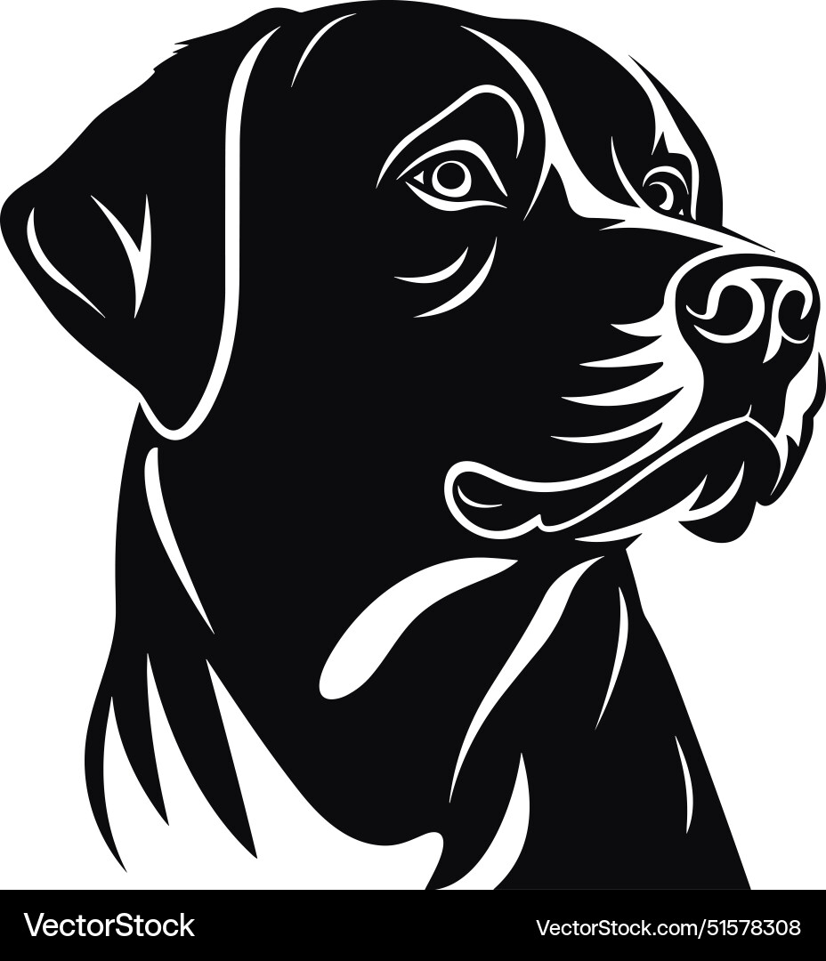 Labrador retriever silhouette line art template Vector Image