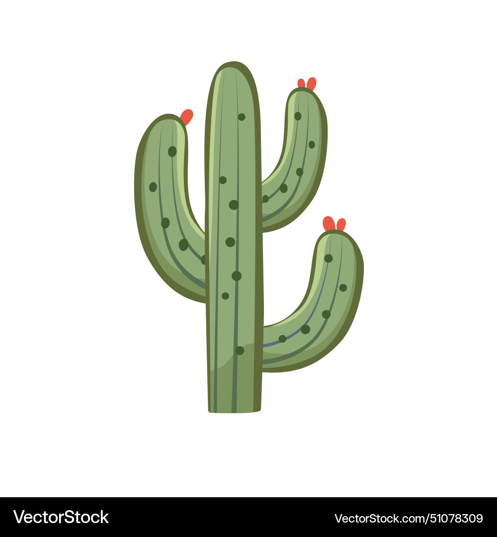 Cactus tree cartoon cacti plant Royalty Free Vector Image