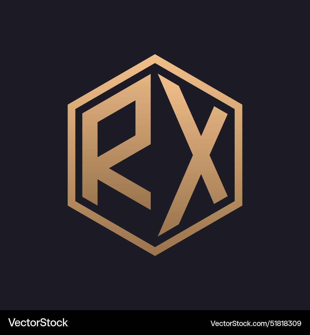 Elegant hexagon letter rx logo design initial Vector Image