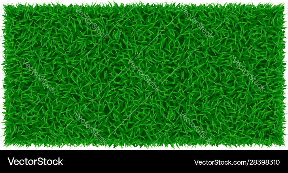 Picture grass Royalty Free Vector Image - VectorStock