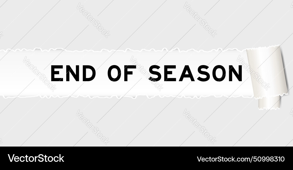 Ripped gray paper background that have word end Vector Image