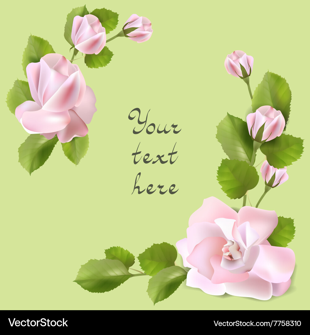 Spring floral background Royalty Free Vector Image