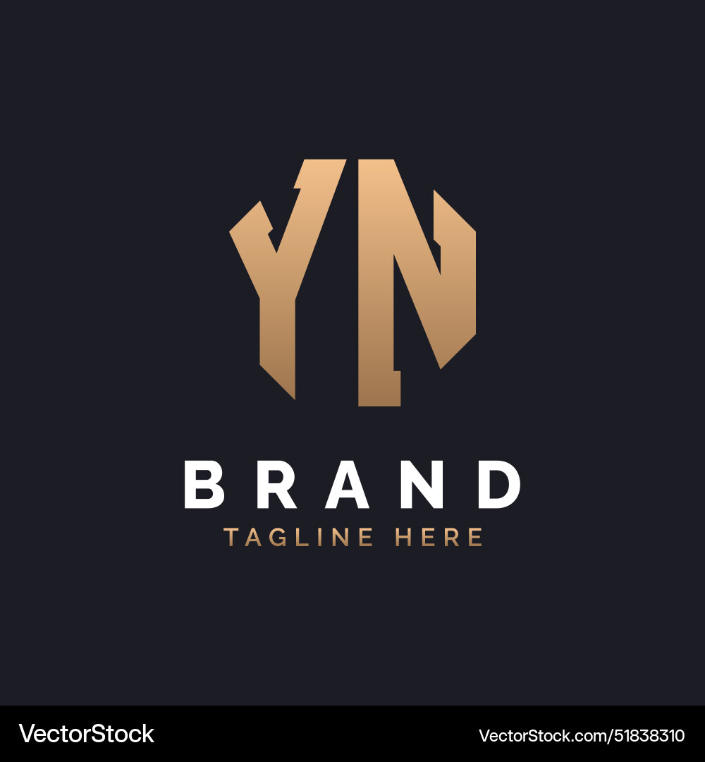 Yn logo design modern minimal elegant and luxury Vector Image