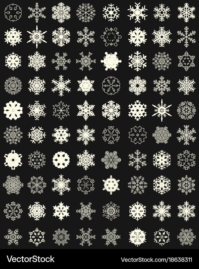 Set of different snowflakes Royalty Free Vector Image