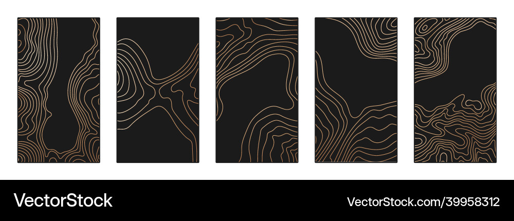 Contour lines on topographic maps geographic map Vector Image