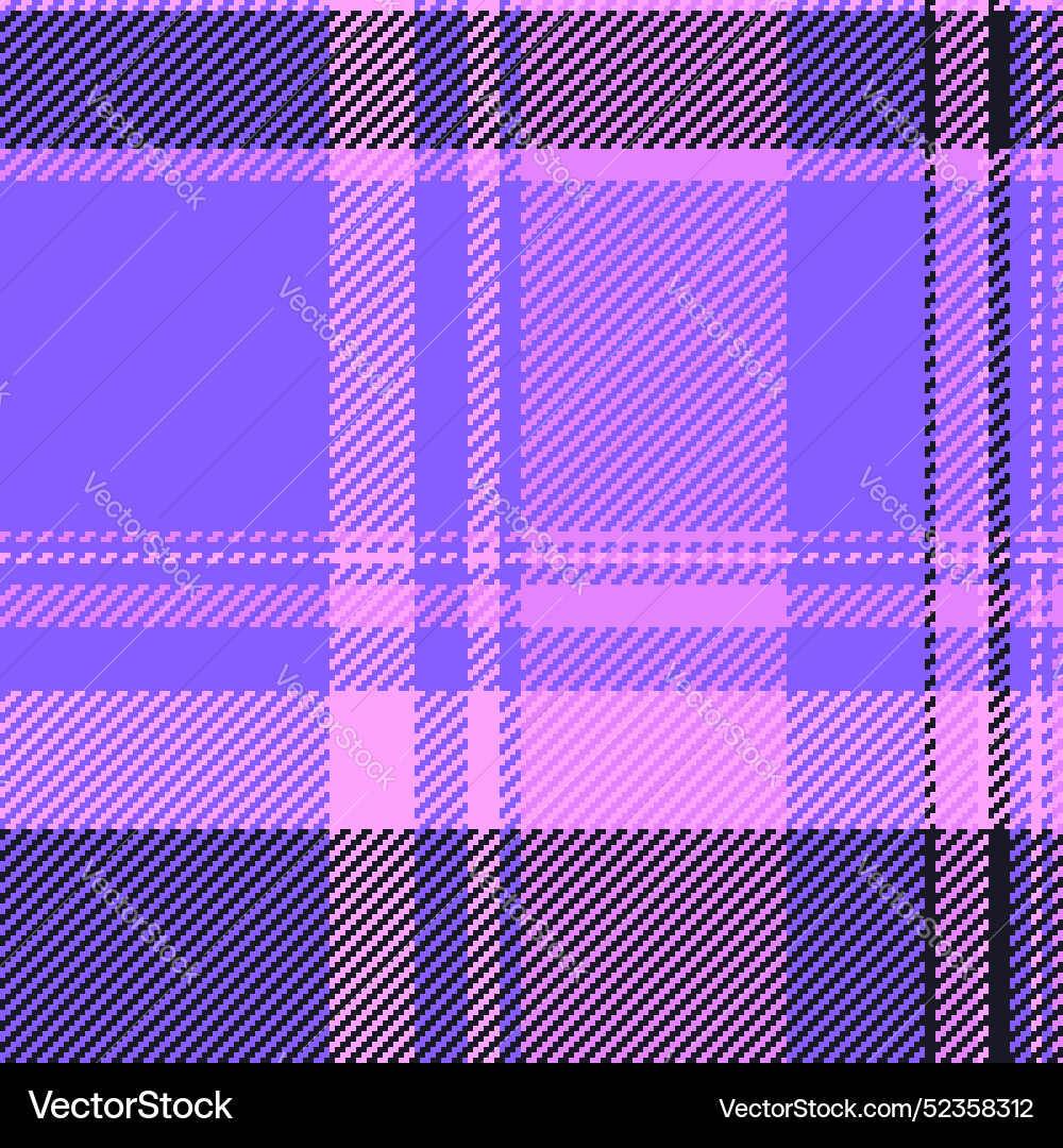 Minimalist seamless plaid fabric tribal pattern Vector Image