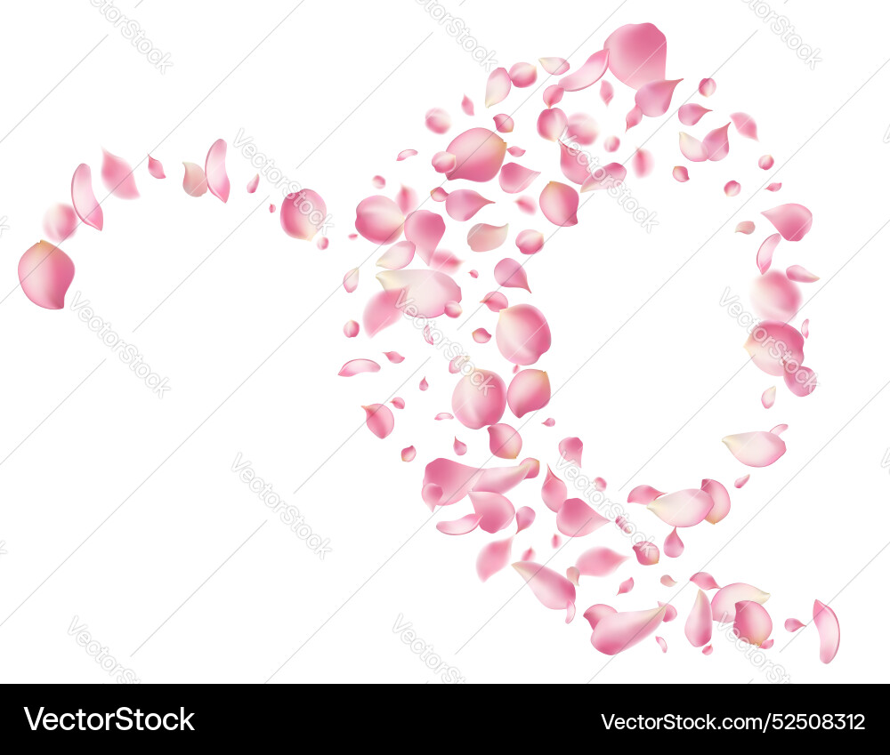 Rose petals or sakura flying romantic Royalty Free Vector